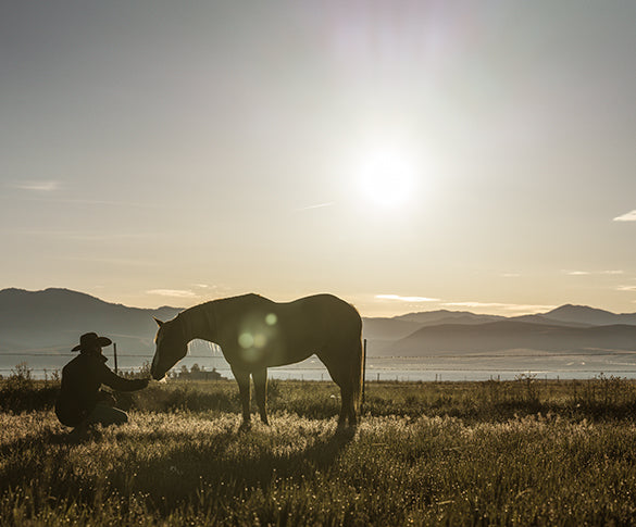 Yellowstone Original Cologne | Tru Western